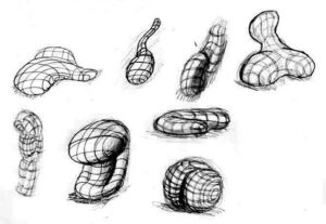 Elements of Art and Design – line, shape, space, value, color and ...