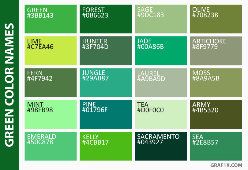 Unique 55 Of Light Blue Green Color Names Assuemeevidencia